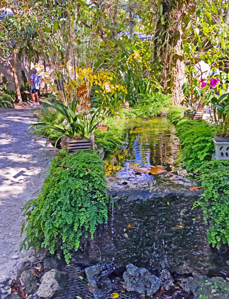 Naples Botanical Garden: 11 suprises at this splendid spot
