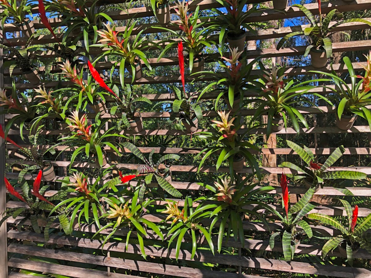 Naples Botanical Garden: 11 suprises at this splendid spot