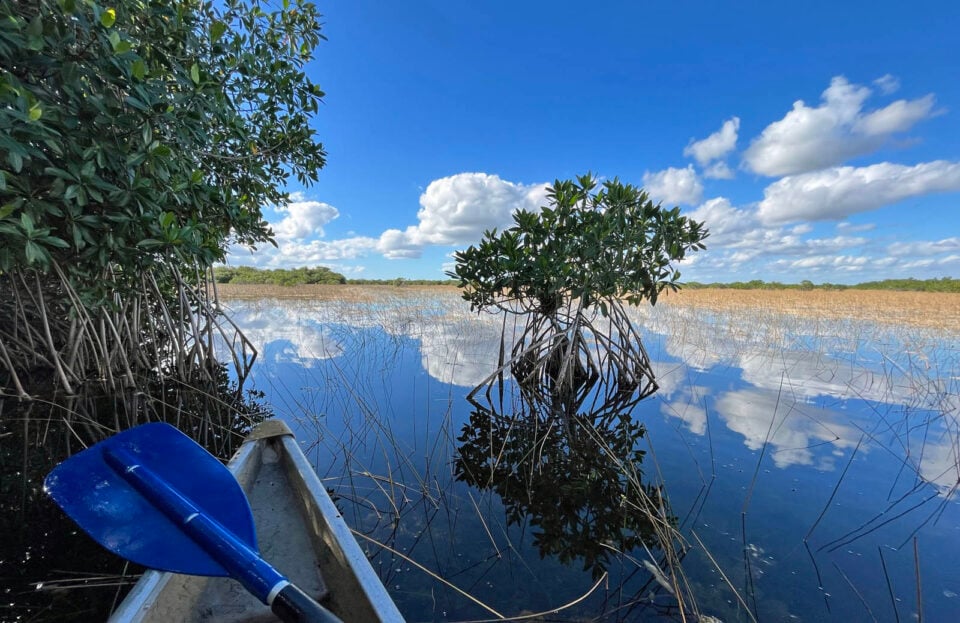 Everglades National Park canoe trail: Exploring Nine Mile Pond