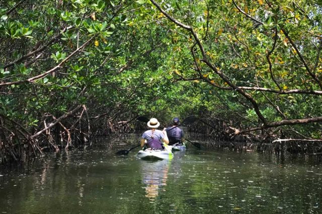 Oleta River State Park: Miami's remarkable island getaway