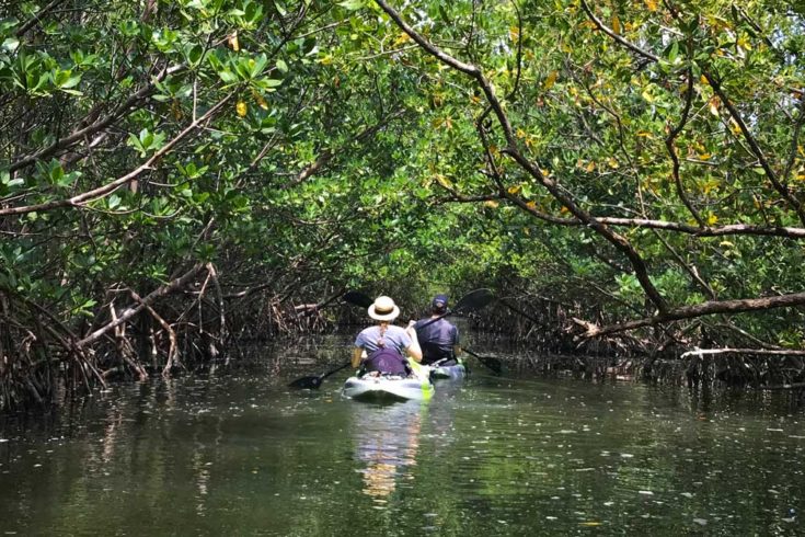 Oleta River State Park: Miami's remarkable island getaway