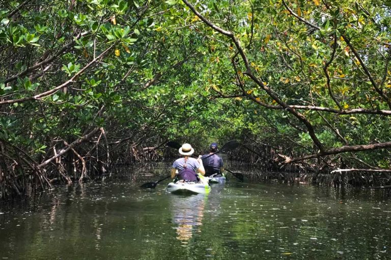 Oleta River State Park: Miami's remarkable island getaway