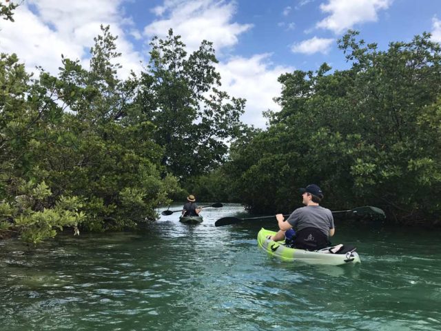 Oleta River State Park: Miami's remarkable island getaway