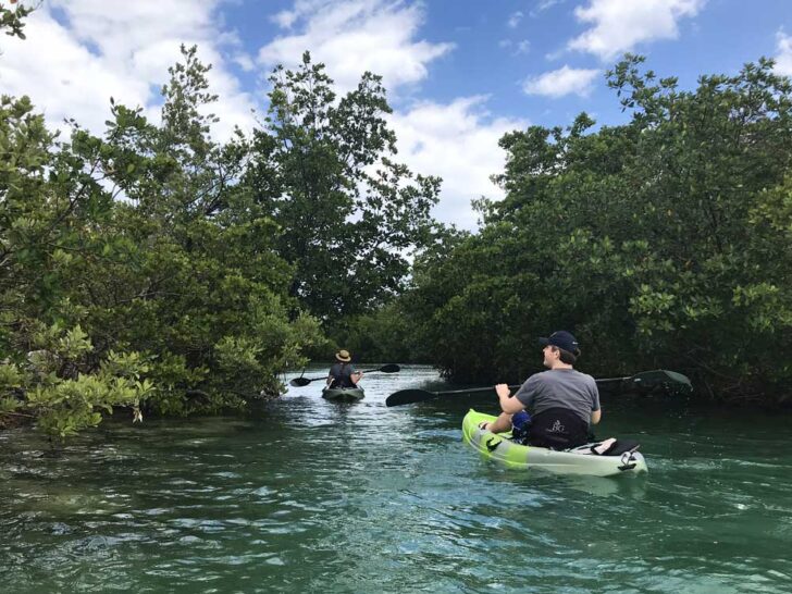 Oleta River State Park: Miami's remarkable island getaway