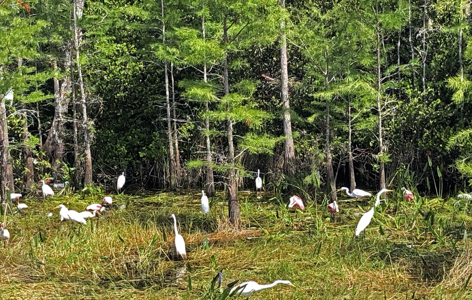 6 top Palm Beach County parks for scenic biking and more
