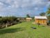 Phipps Park Campground ideal for family outings | FloridaRambler.com