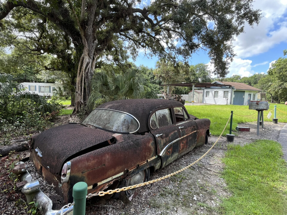 Loop Road: Storied road through Everglades is full of wildlife