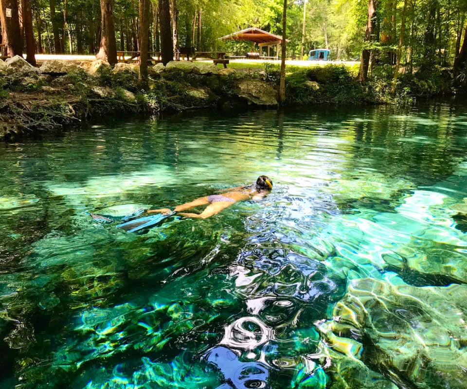 Kayaking Santa Fe River: Splendid springs & scenery