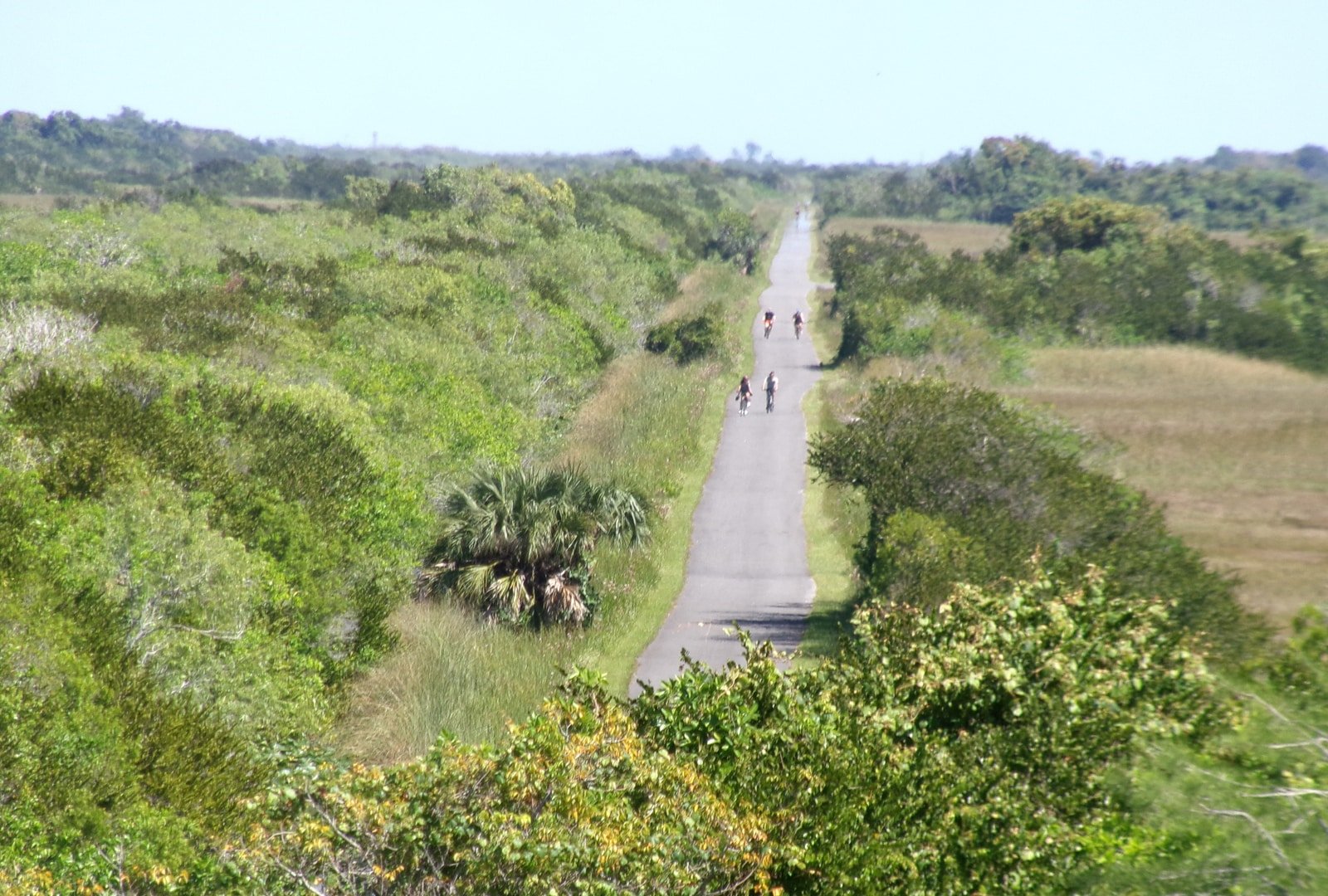 Shark Valley at Everglades National Park: Remarkable bike path and wildlife