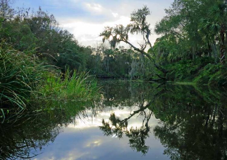 3 stunning Southwest Florida kayak trails to discover