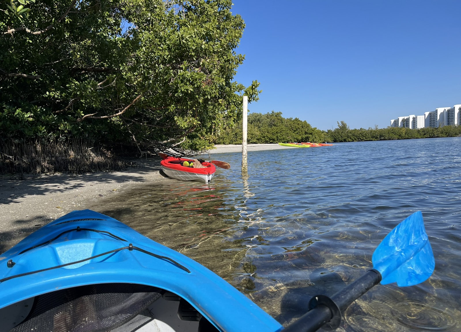 Siesta Key kayaking trail is a serene paddle to Hidden Beach