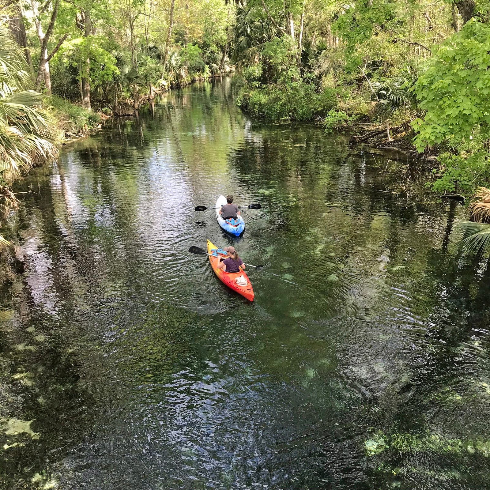 Best kayaking in Orlando and Central Florida: 15 wild rivers