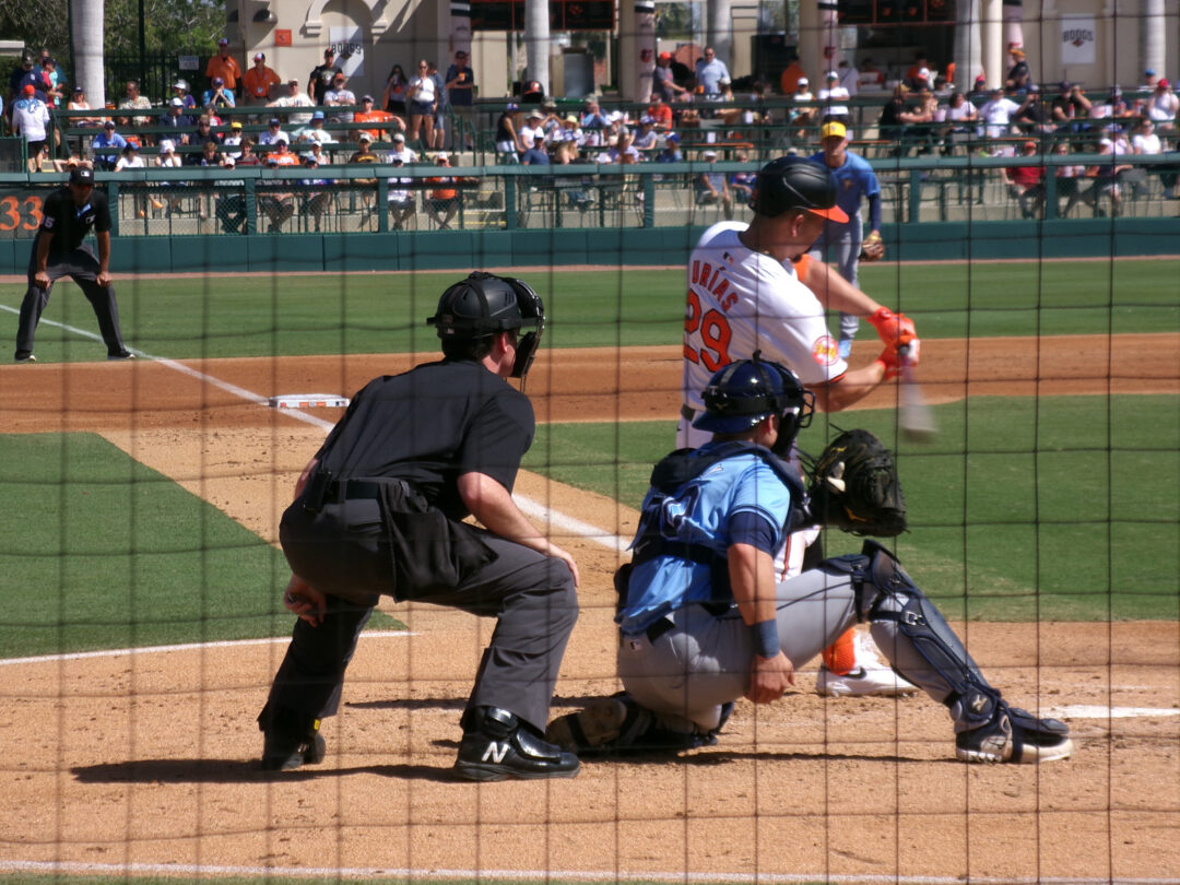 2026 Florida Spring Training Guide | Florida Rambler