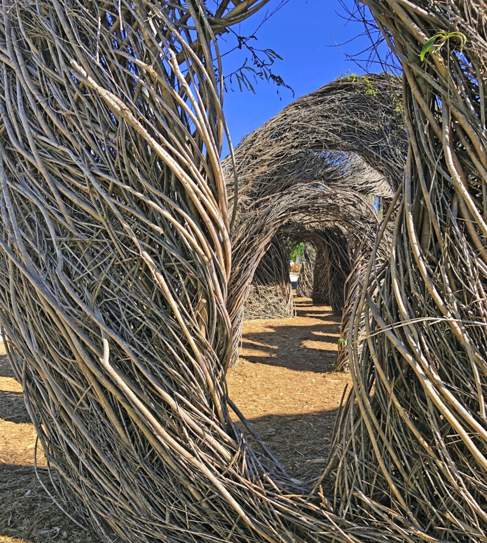 Naples Botanical Garden: 11 suprises at this splendid spot