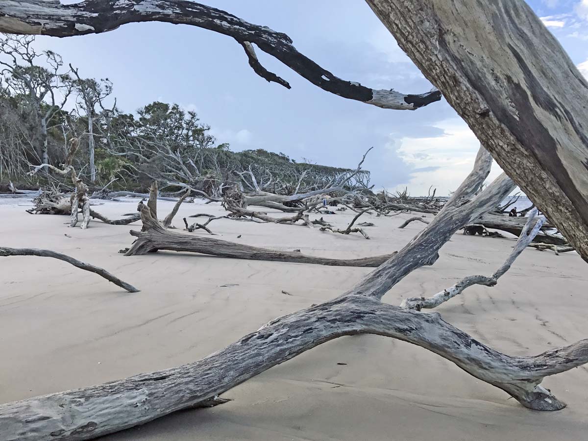 Florida's Talbot Islands: Windswept beaches, pristine backwaters