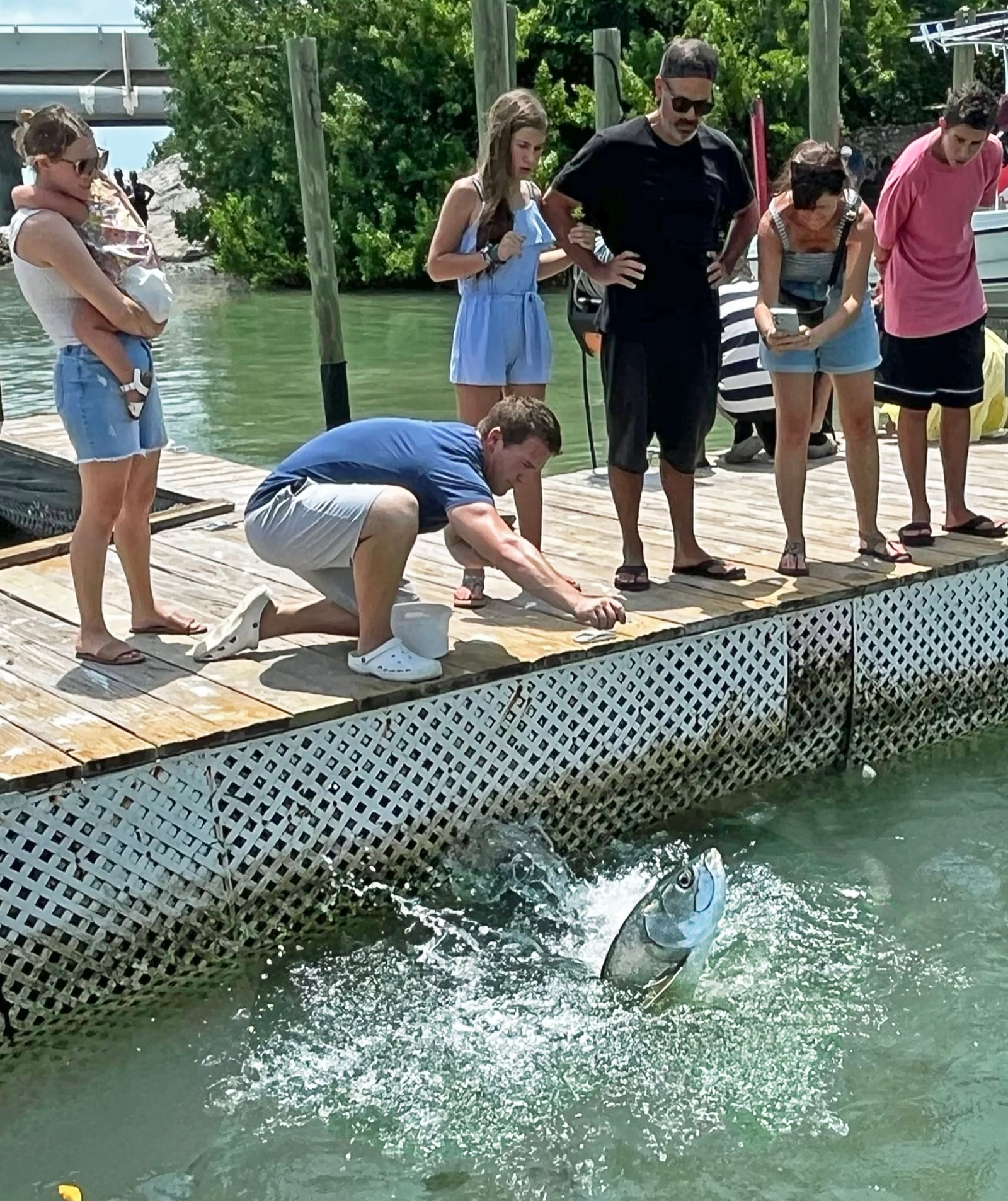 Robbie's Marina, Florida Keys: Feed the tarpon for cheap fun