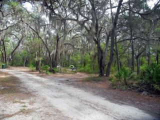 Tiger Bay State Forest: Daytona Beach