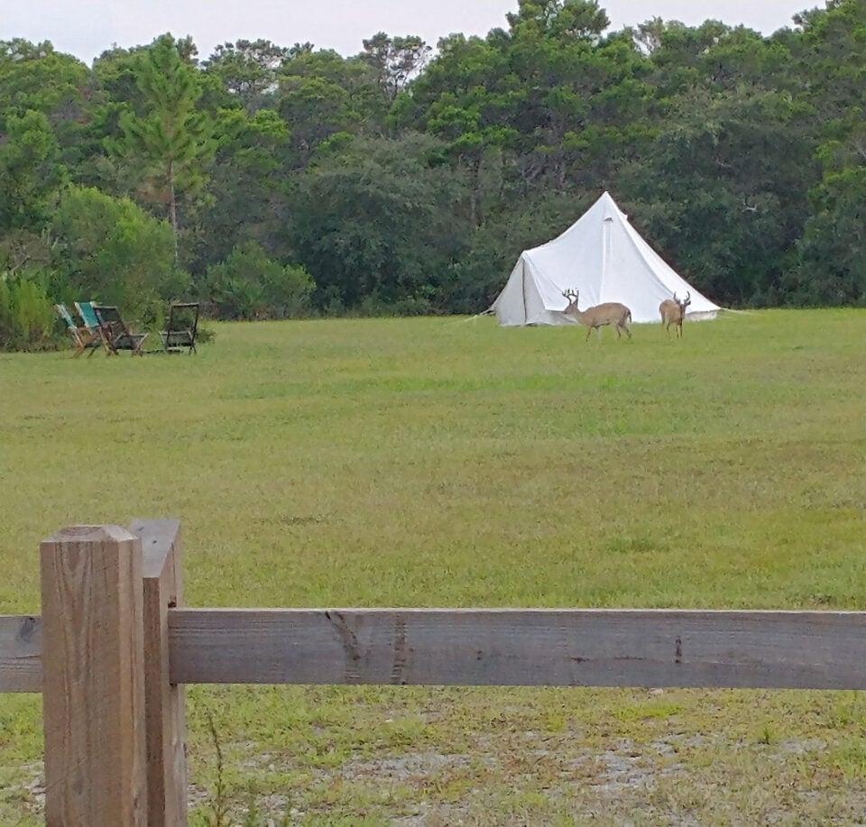 Glamping in Florida: Luxury meets nature in these 12 parks