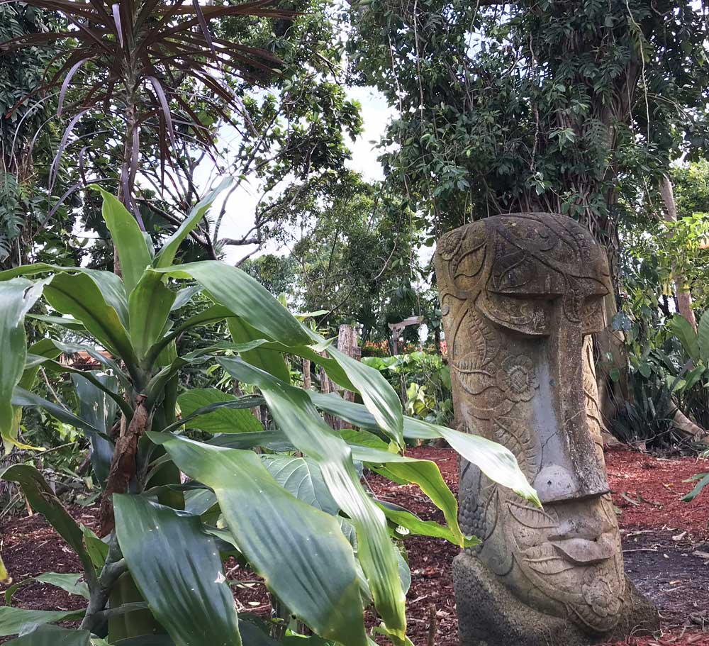 21 spectacular Florida botanical gardens: Where beauty lives