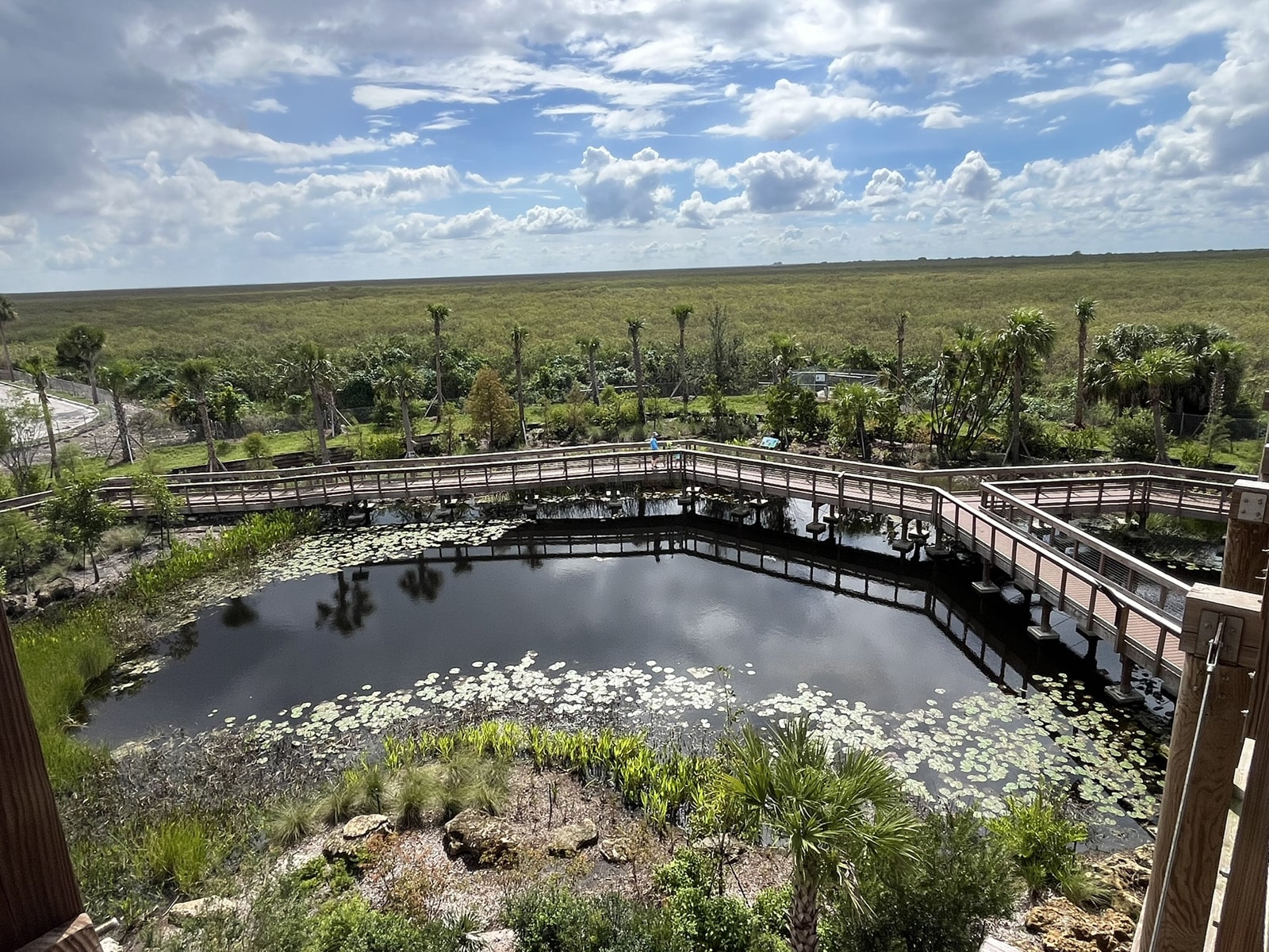 Everglades Elevated Boardwalk lets you explore nature from I-75 rest stop