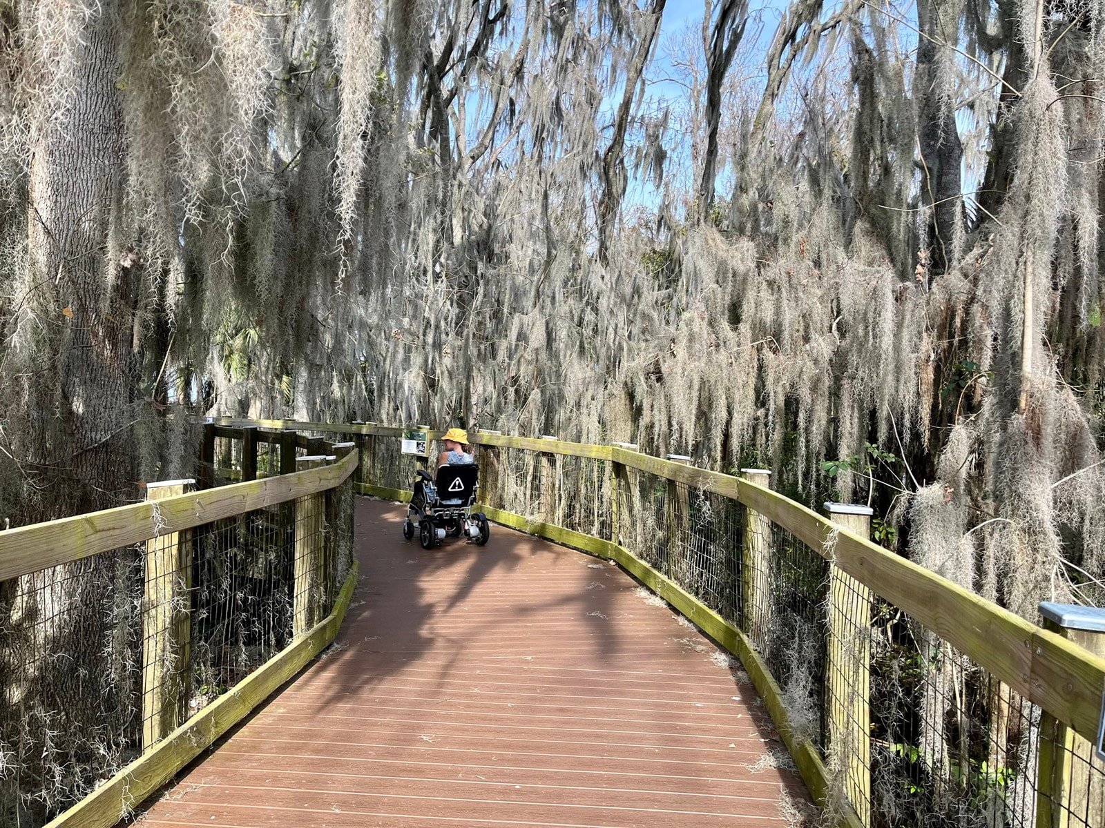 18 best boardwalks in Florida, with easy access for all