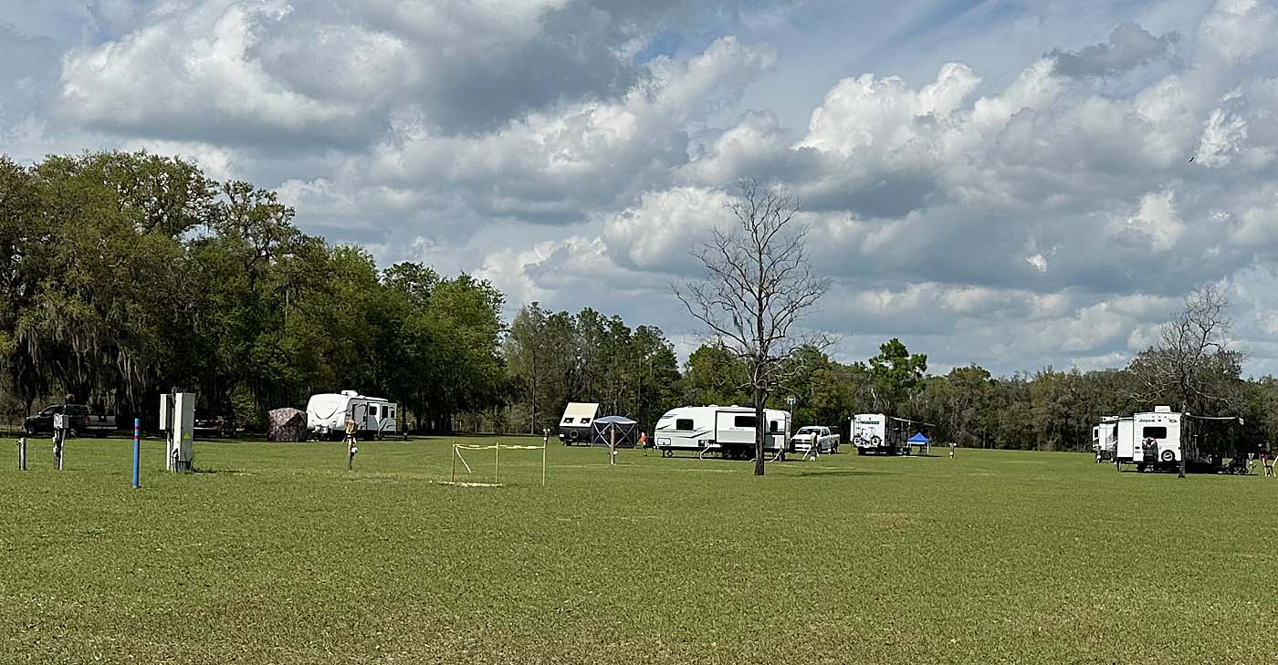 Withlacoochee River Park: Green swamp, dark skies | floridarambler.com