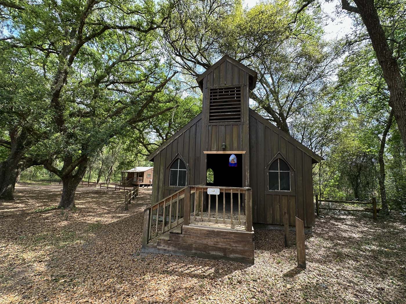 Withlacoochee River Park: Green swamp, dark skies | floridarambler.com