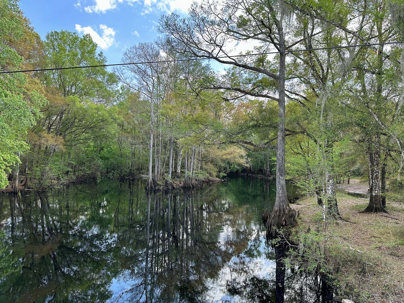 Withlacoochee River Park: Green swamp, dark skies | floridarambler.com