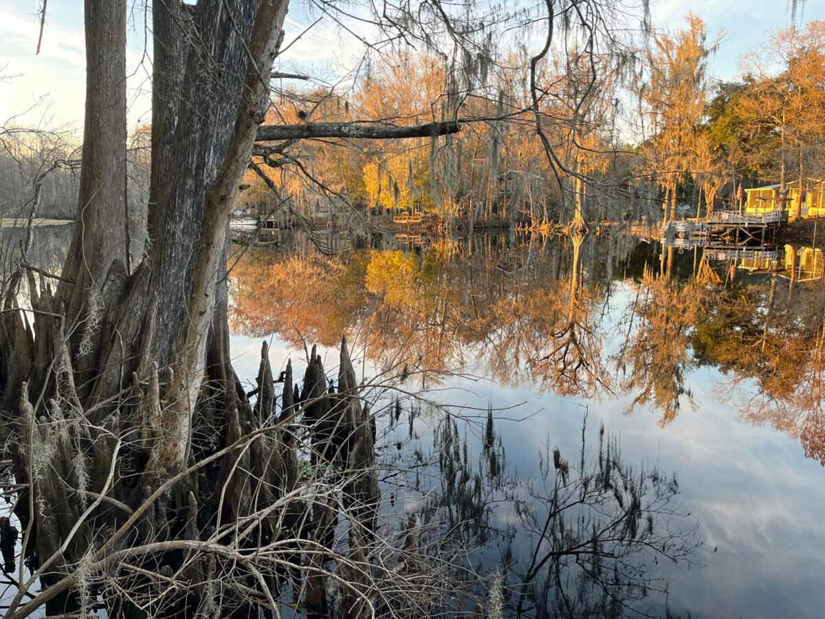 Withlacoochee River is a gorgeous Florida kayaking trail