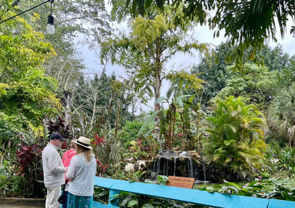 Everglades Wonder Gardens: 8 ways the old-time site delights